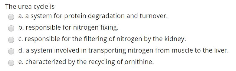 Solved The urea cycle is O a. a system for protein | Chegg.com