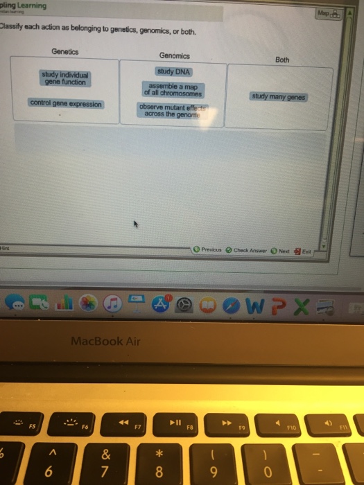 Solved pling Learning Classily each action as belonging to | Chegg.com