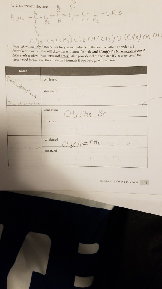 Solved b. 2,4,5-trimethyloctane 5. Your TA will supply 3 | Chegg.com