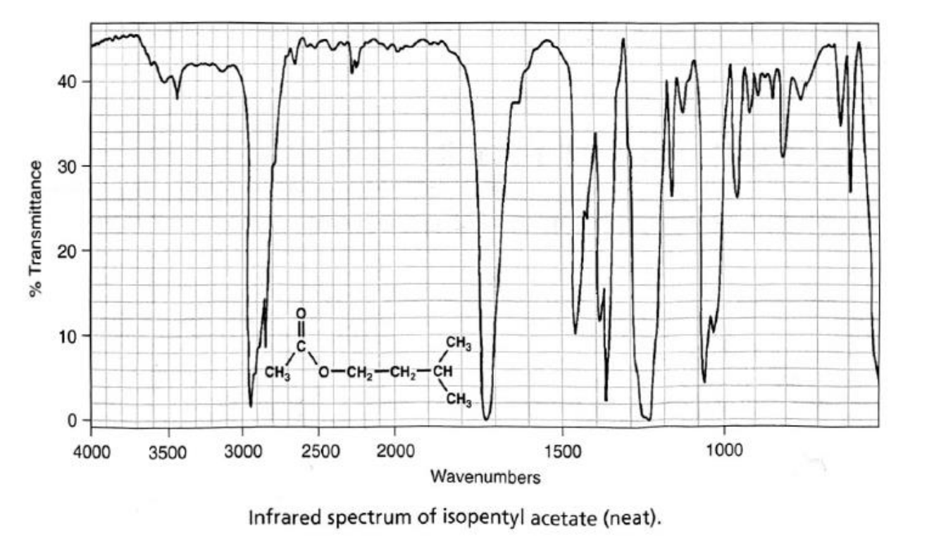 Solved Interpret the IR spectra Interpret the H1 NMR | Chegg.com