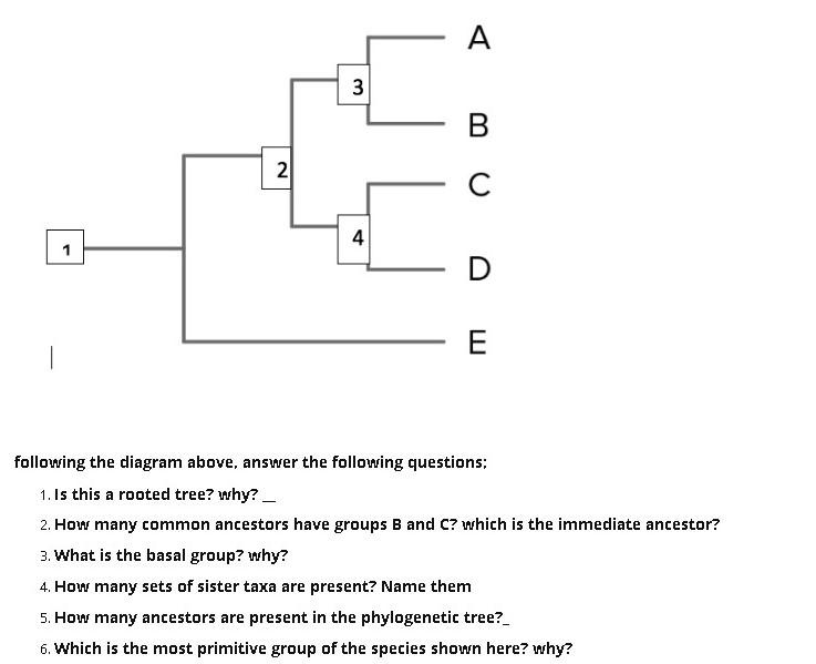 Solved D A 3 3 B 2 С 4 1 по E 1 following the diagram above, | Chegg.com