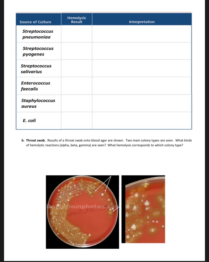 Solved Name TA/Lab Period: Lab 6 Handout Exercises 4-1 to | Chegg.com