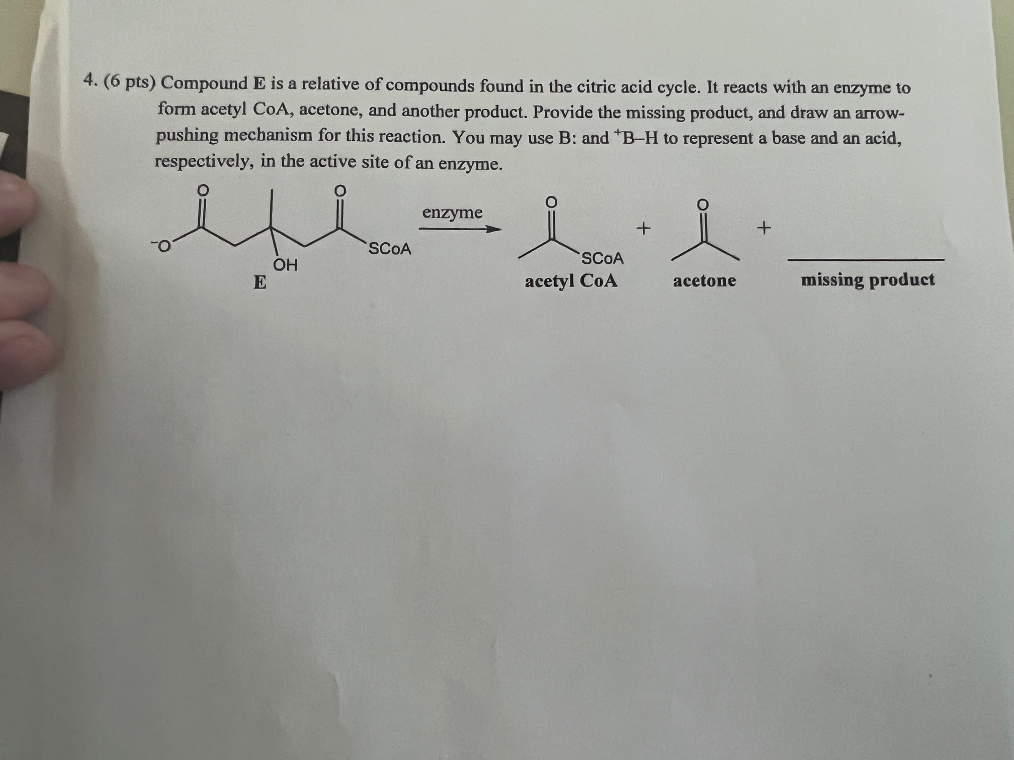 Solved (6 pts) Compound E is a relative of compounds found | Chegg.com