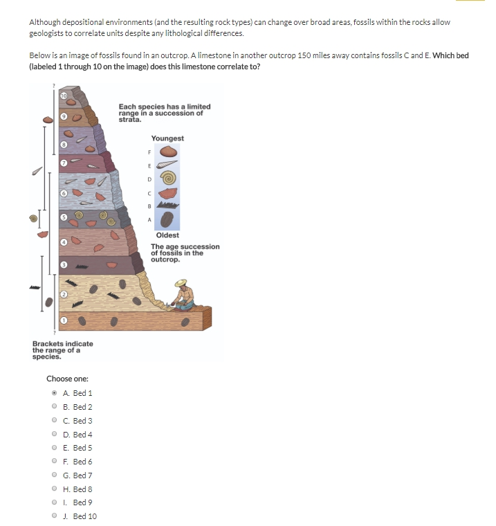 Solved Although depositional environments (and the resulting | Chegg.com