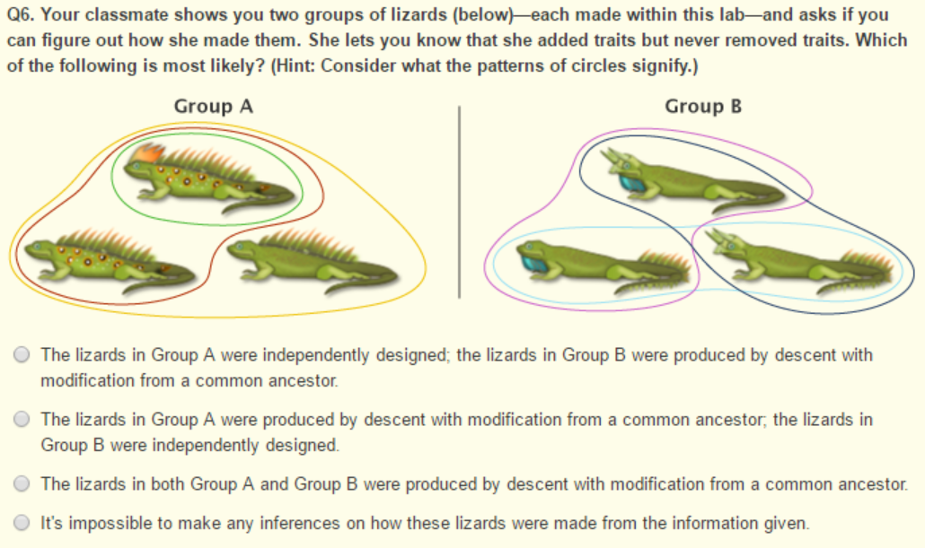 Solved Q6. Your classmate shows you two groups of lizards | Chegg.com