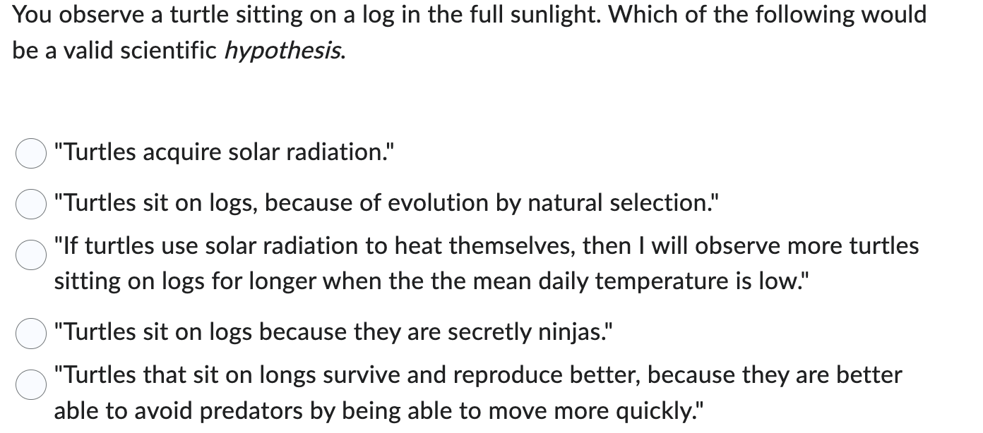 Solved You observe a turtle sitting on a log in the full | Chegg.com