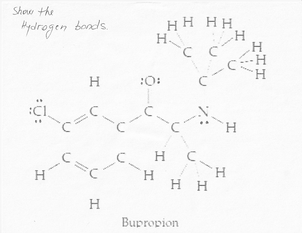 Solved Show the Hydrogen bonds. HH Hн Н. Н с сH н :0: с Сн | Chegg.com