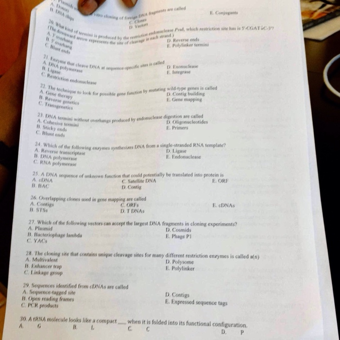 Solved amils A Doon E Conjagants DNA hips o sloning of | Chegg.com