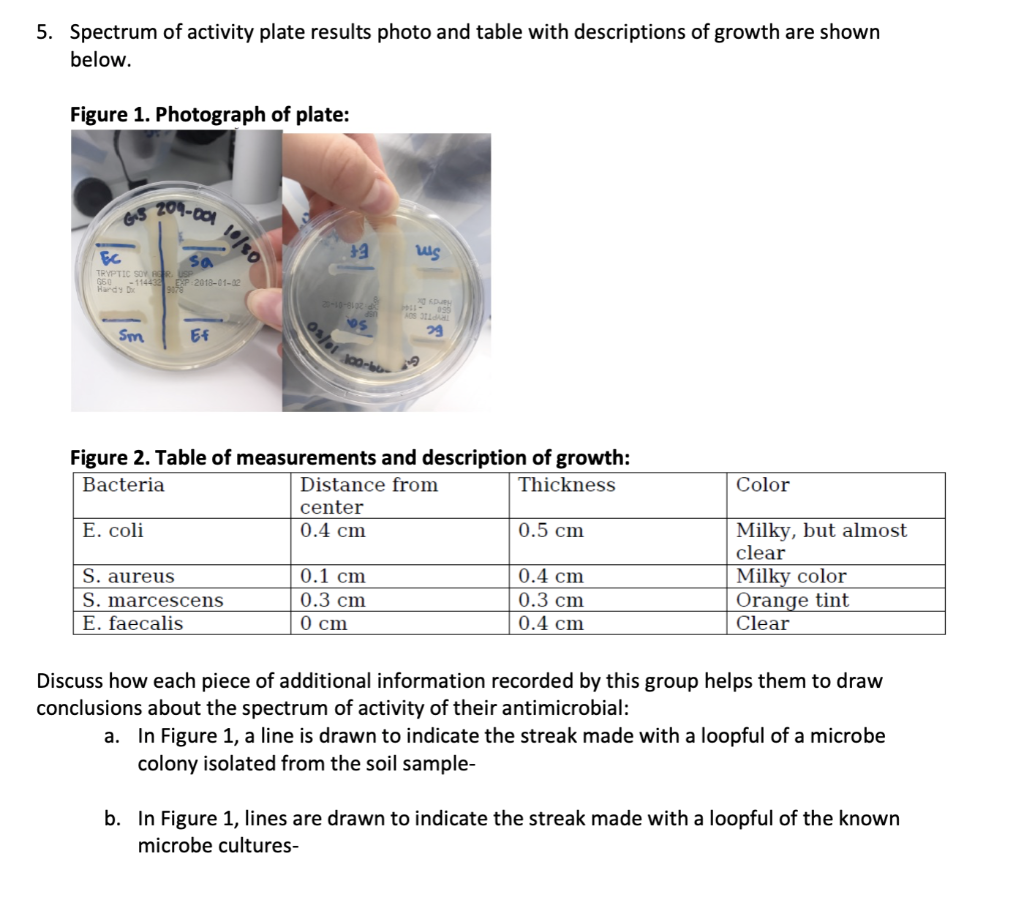 Solved 5. Spectrum of activity plate results photo and table | Chegg.com