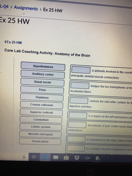 L-04 Assignments Ex 25 HW Ex 25 HW KEx 25 HW Core Lab | Chegg.com