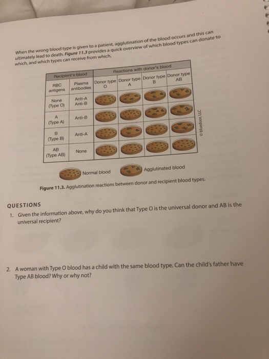 Solved: Investigation 2: Patterns Of Inheritance - Complet... | Chegg.com