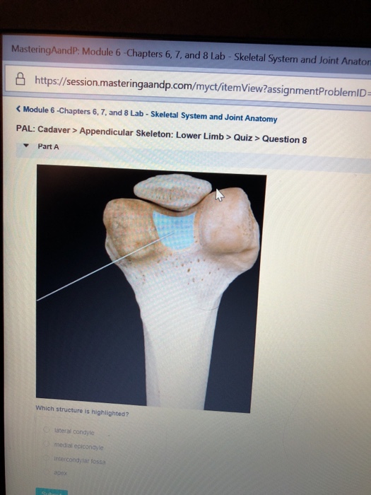 Solved: MasteringAandP: Module 6-Chapters 6, 7, And 8 Lab-... | Chegg.com