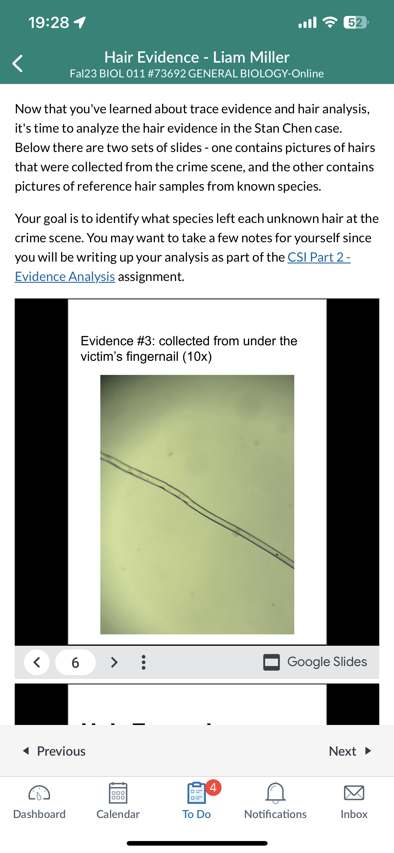 19:28 52 Hair Evidence - Liam Miller Fal23 BIOL 011 | Chegg.com