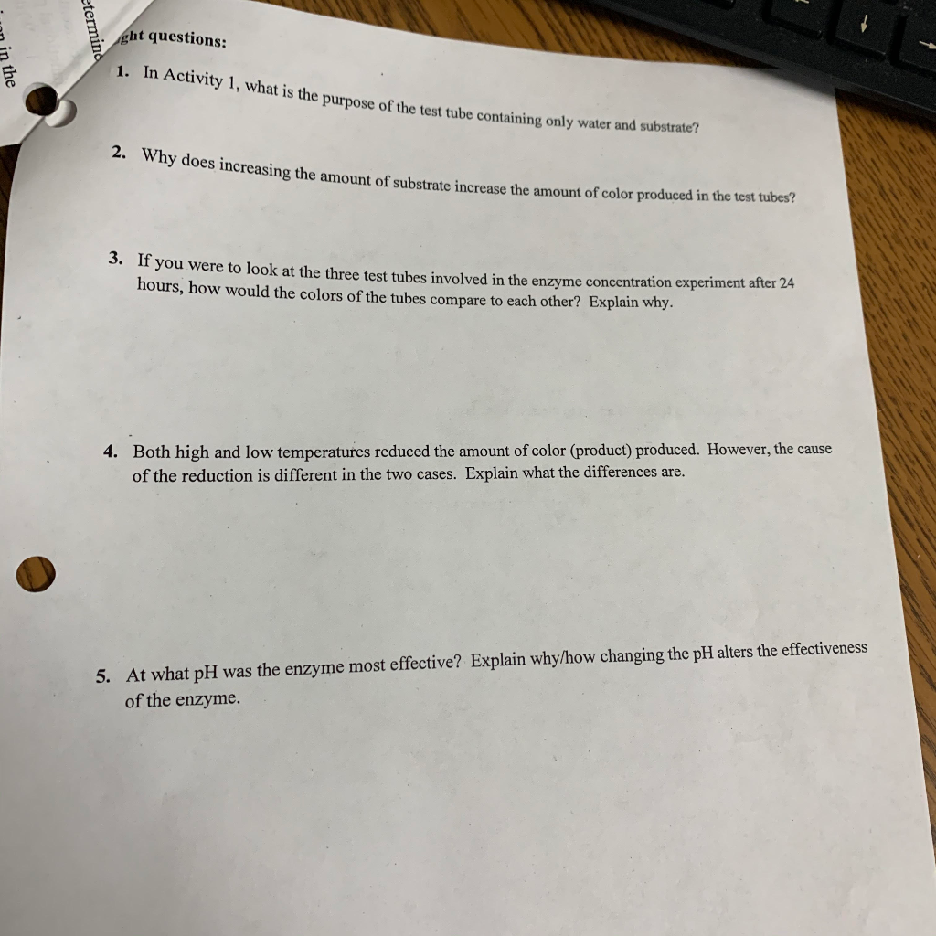 Solved 2. Why does increasing the amount of substrate | Chegg.com