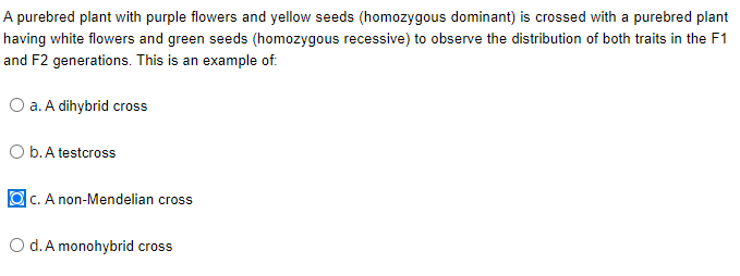 A purebred plant with purple flowers and yellow seeds | Chegg.com