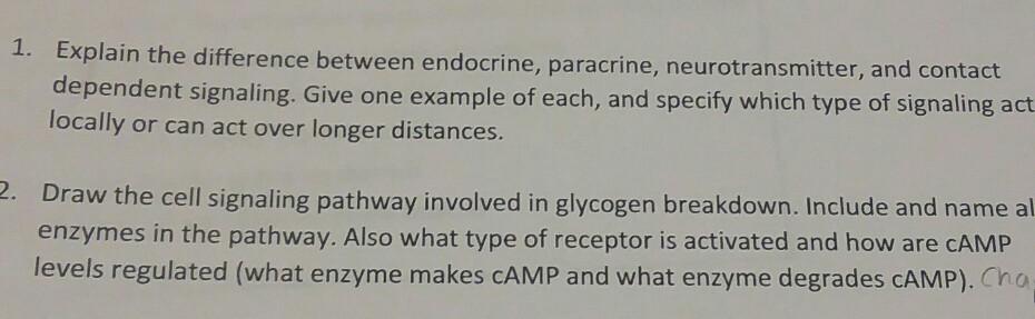 Solved 1. Explain the difference between endocrine, | Chegg.com