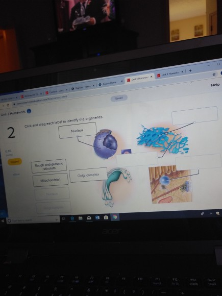 Solved Une3 Honenwor sheatve Ca M Seve u Help seed Cek and | Chegg.com