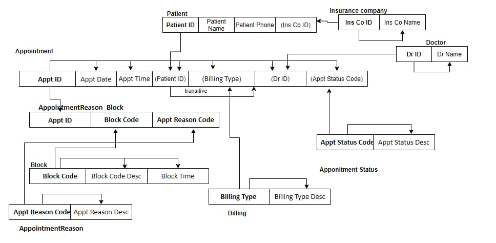 Solved e INSY 3304 - Project 1 Appt ID Appt Date Appt Time | Chegg.com