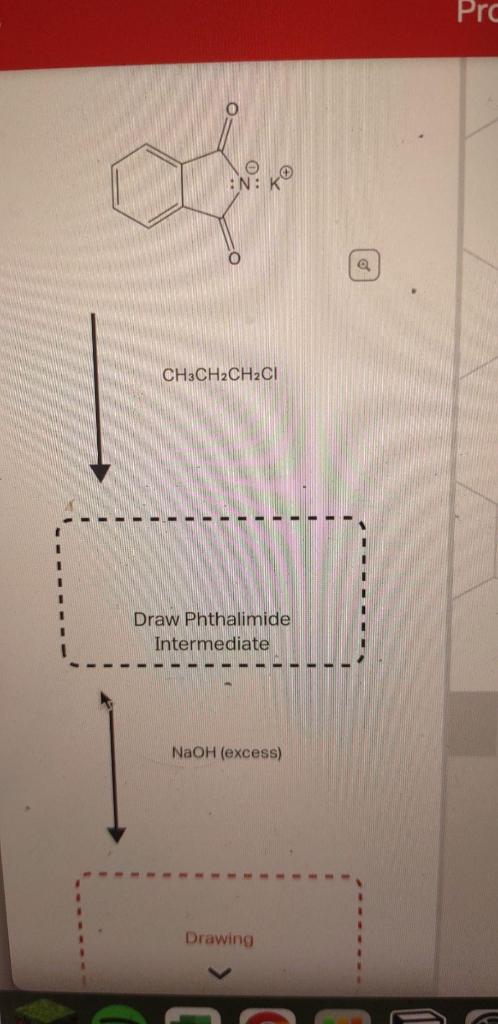 Solved Q CH3CH2CH2Cl Draw Phthalimide Intermediate NaOH | Chegg.com