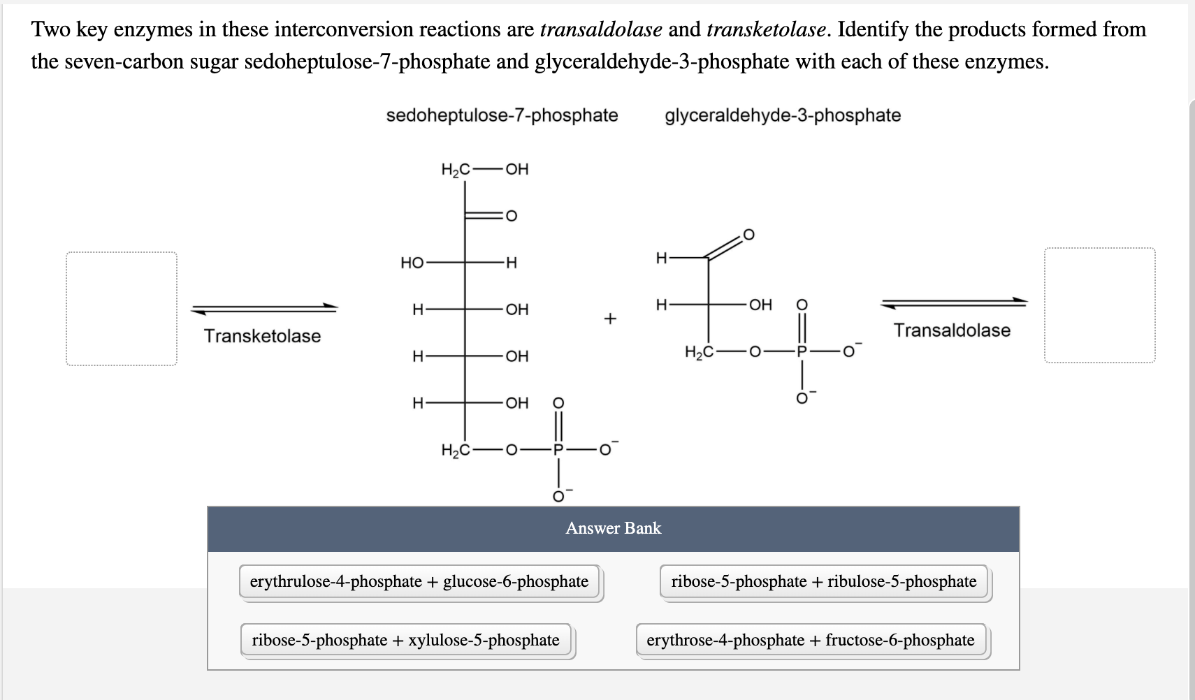 Solved Two key enzymes in these interconversion reactions | Chegg.com