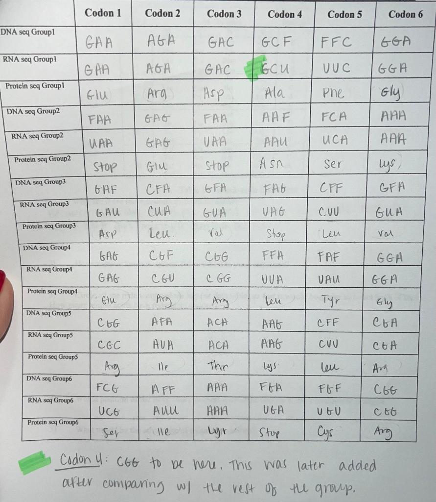 Solved A) Circle all the redundant codons in the below | Chegg.com