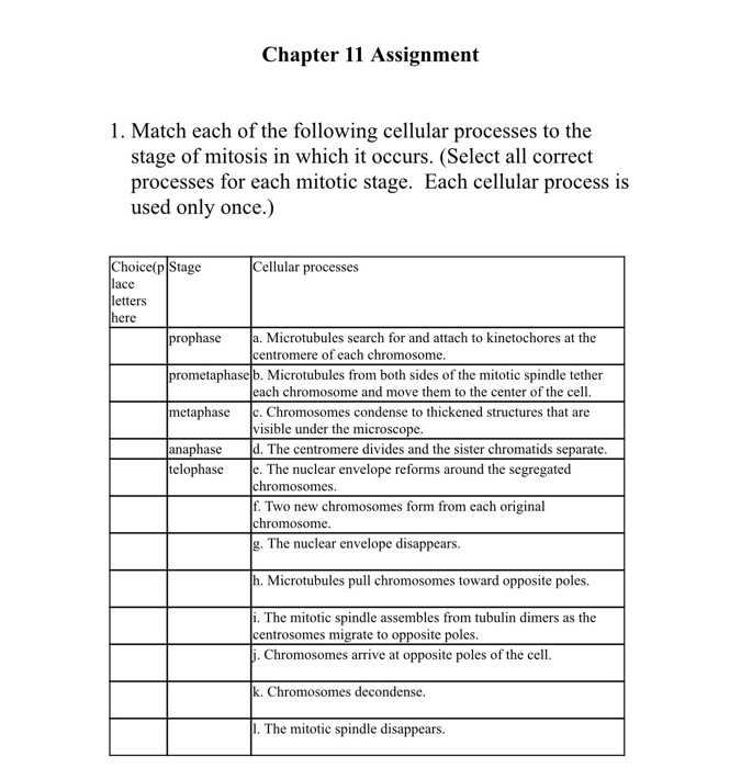 Match each of the following cellular processes to the | Chegg.com