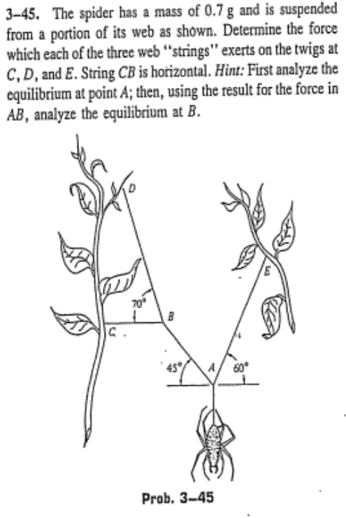 Solved 3-45. The spider has a mass of 0.7 g and is suspended | Chegg.com