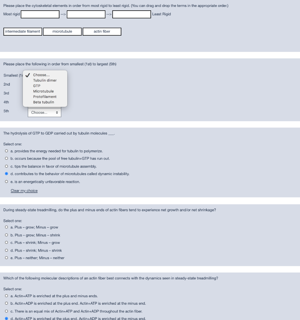 Solved Please place the cytoskeletal elements in order from | Chegg.com