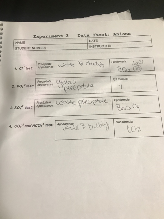 Solved Experiment 3 Data Sheet: Anions NAME STUDENT NUMBER | Chegg.com