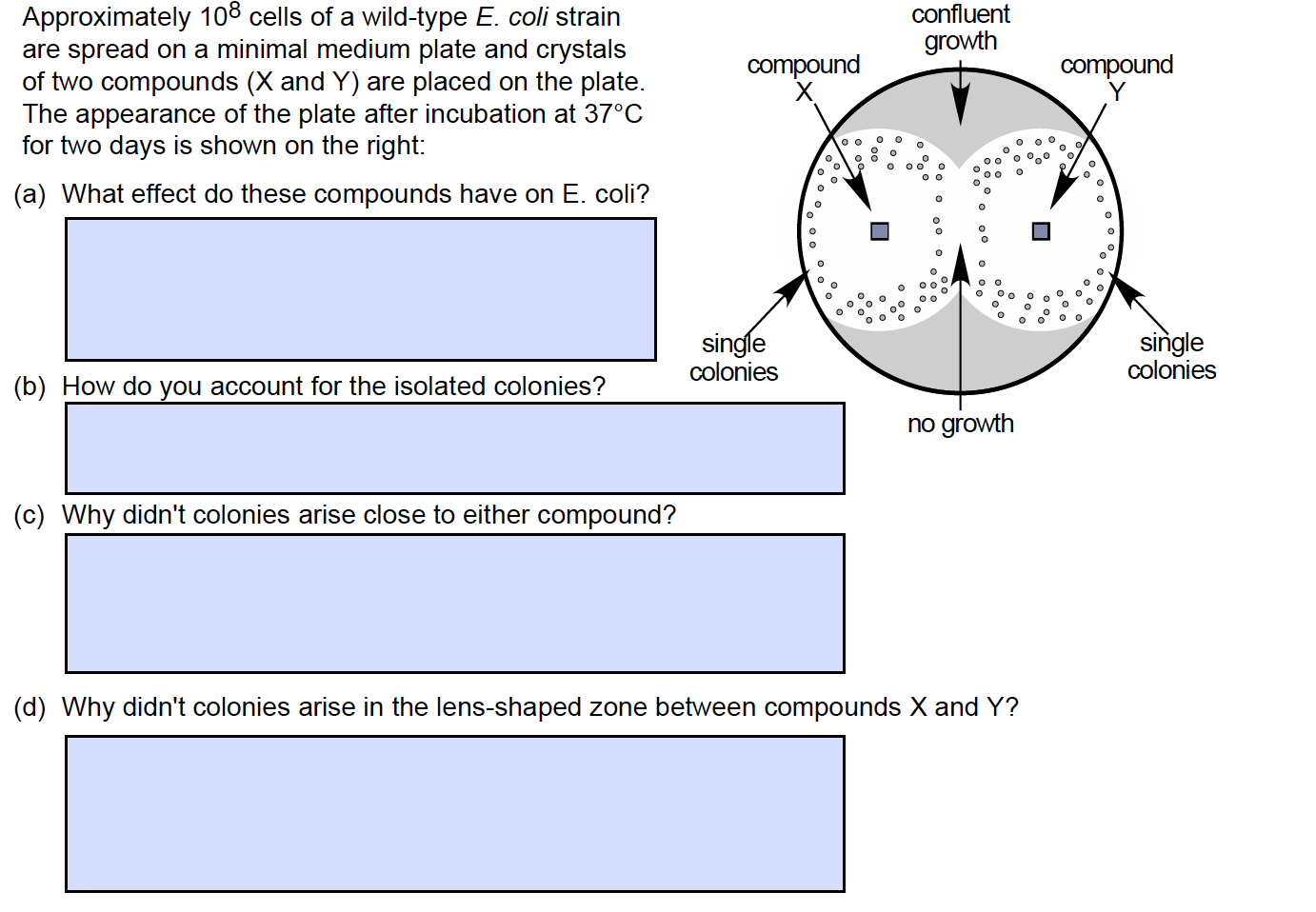 Solved confluent growth compound X compound Approximately | Chegg.com