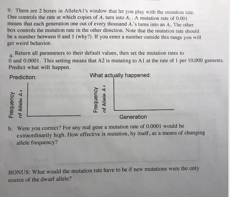 Solved 9 There Are 2 Boxes In AlleleAl s Window That Let Chegg solved-9-there-are-2-boxes-in-alleleal-s-window-that-let-chegg