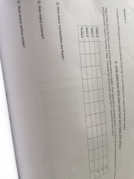 Solved Question 1: Translate this DNA sequence using Genetic | Chegg.com