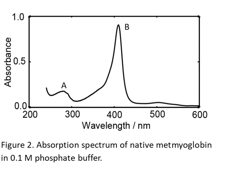 Solved 1.0 B Absorbance 0.5 i A 0.01 200 600 300 400 500 | Chegg.com