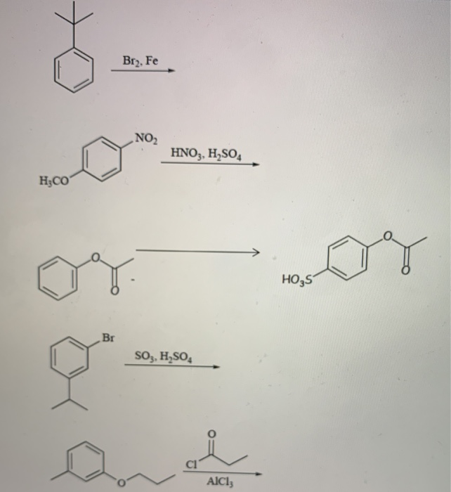 Solved Br2, Fe NO2 HNO. H,SO4 Несо но,s Br SO. H,SO Cl Alcl | Chegg.com