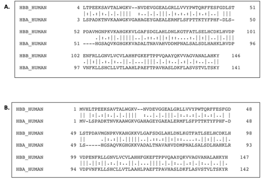 Solved Both A and B are the same (2) ﻿sequences aligned in | Chegg.com