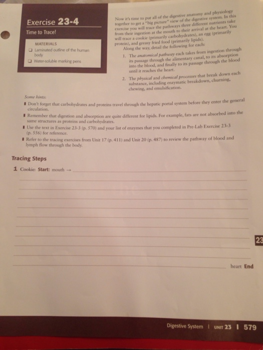 Solved Pre-Lab Exercise 233 Digestive Enzymes Brush border | Chegg.com