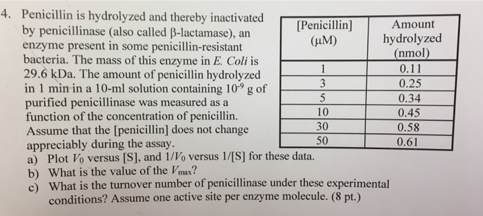 Solved 4. Penicillin is hydrolyzed and thereby inactivated | Chegg.com