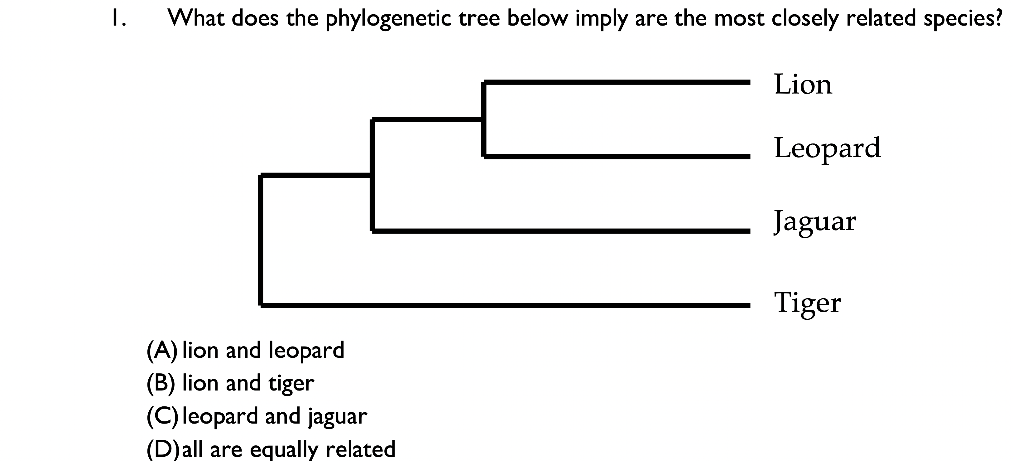 Solved 1. What does the phylogenetic tree below imply are | Chegg.com
