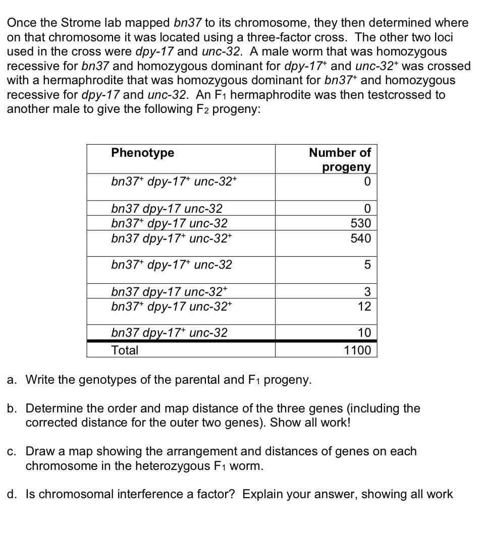 Solved Once the Strome lab mapped bn37 to its chromosome, | Chegg.com