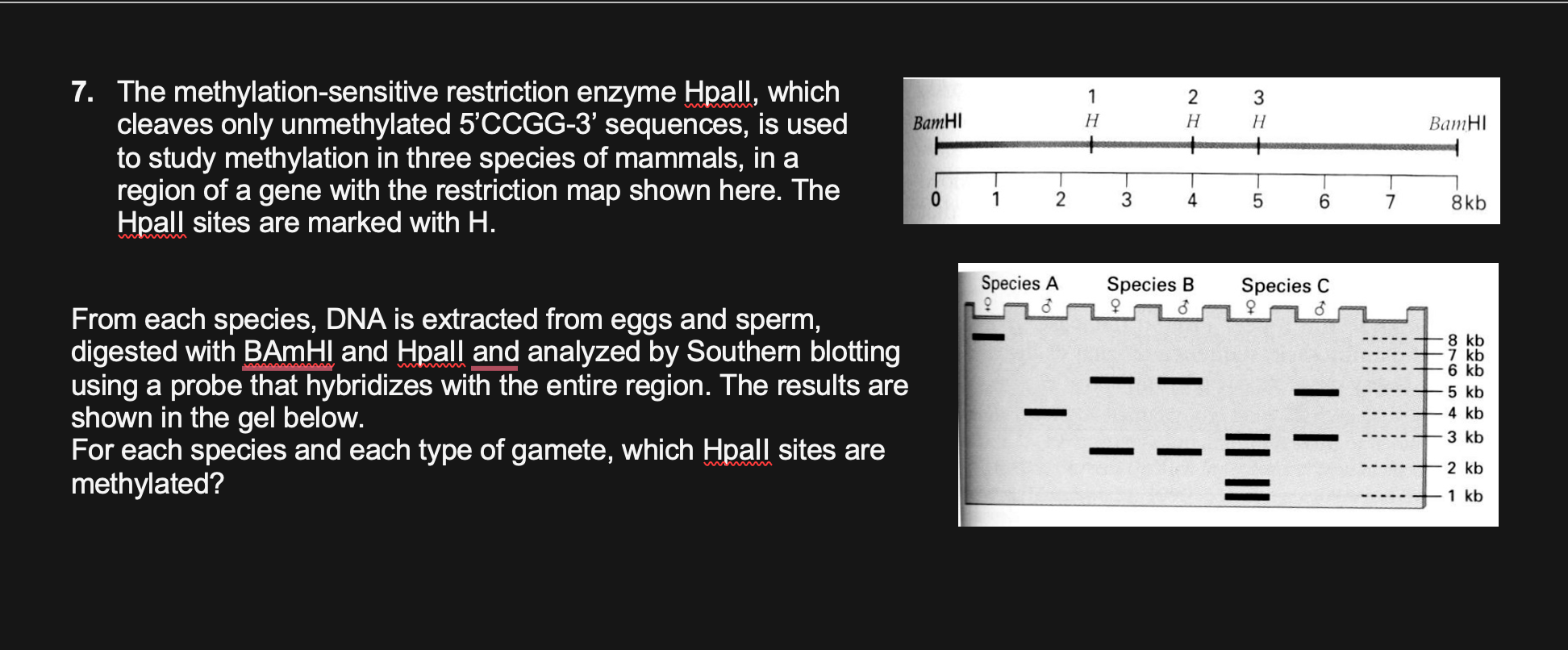 Solved The methylation-sensitive restriction enzyme Hpall, | Chegg.com