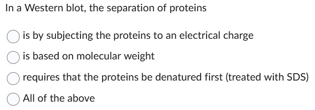 Solved In a Western blot, the separation of proteinsis by | Chegg.com