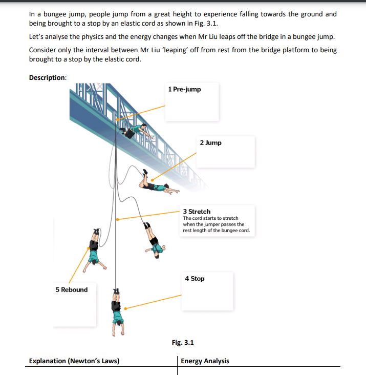 Solved In a bungee jump, people jump from a great height to | Chegg.com