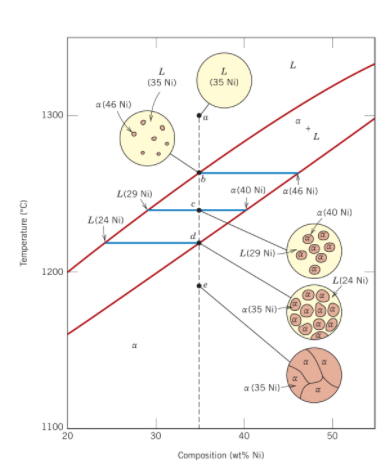 Solved L L (35 Ni) L (35 NI) a (46 N) 1300 L(29 Ni) (40 ND) | Chegg.com