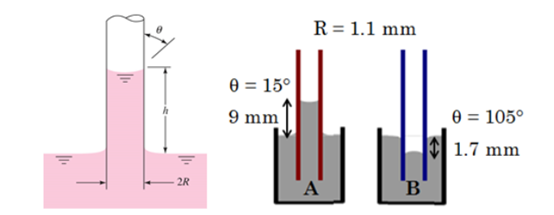 Solved Question 1: The change in the liquid height (h) in a | Chegg.com