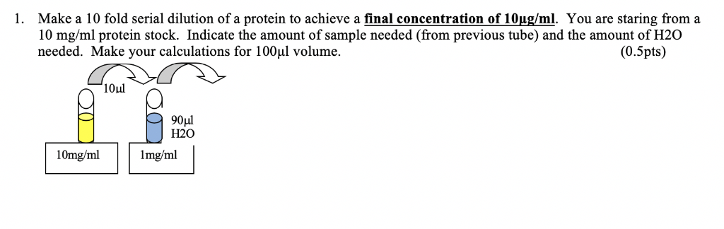 Solved 1. Make a 10 fold serial dilution of a protein to | Chegg.com