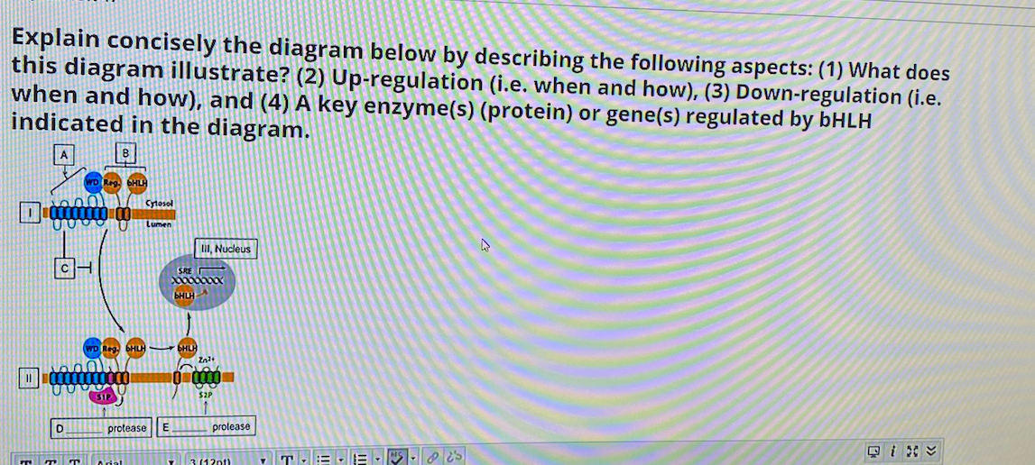 Explain concisely the diagram below by describing the | Chegg.com