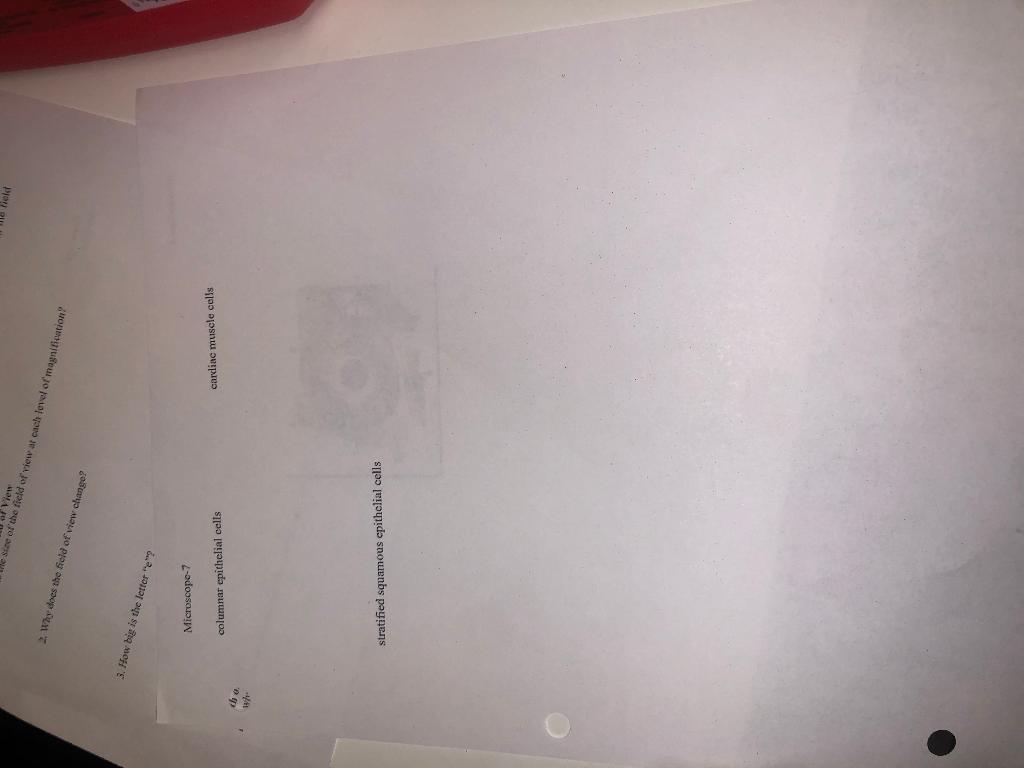 Solved held iew We size of the field of view at each level | Chegg.com