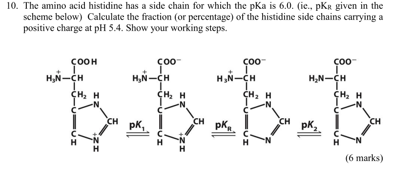 Solved 10. The amino acid histidine has a side chain for | Chegg.com