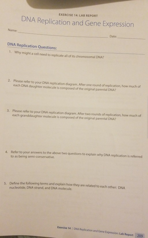 Solved EXERCISE 14: LAB REPORT DNA Replication and Gene | Chegg.com