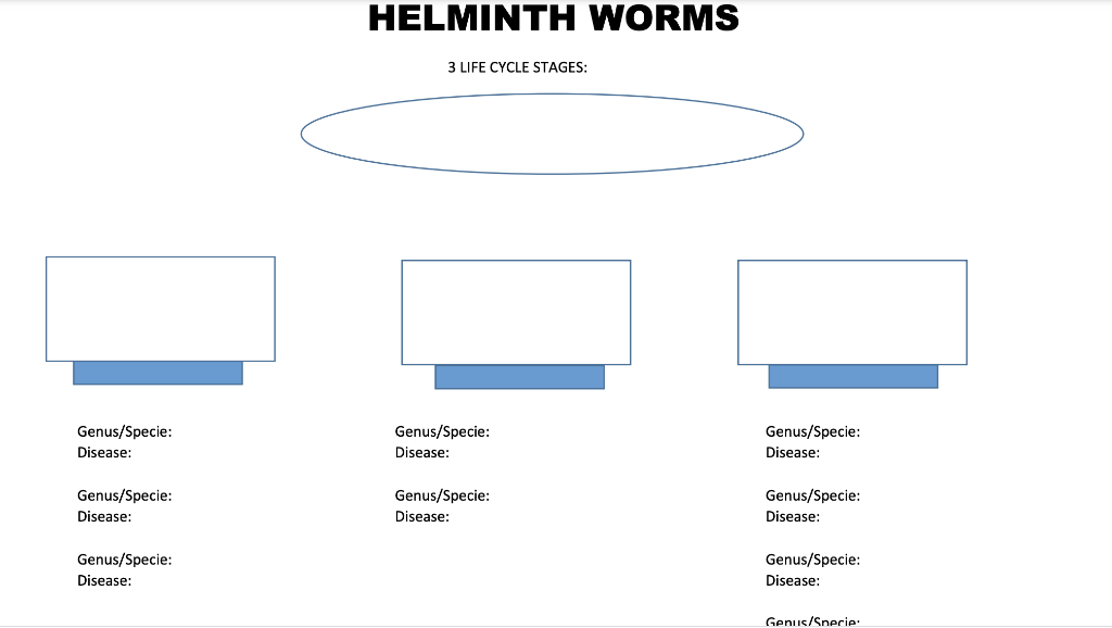 Solved HELMINTH WORMS 3 LIFE CYCLE STAGES: Genus/Specie: | Chegg.com